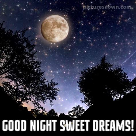 Good Night Moon Image Stars