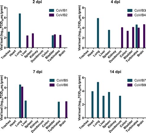 MERS CoV Viral Load In Tissues Collected From Jamaican Fruit Bats