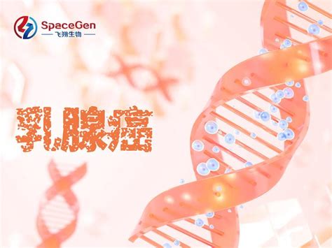 揭秘乳腺癌内分泌治疗的耐药机制（四） 知乎