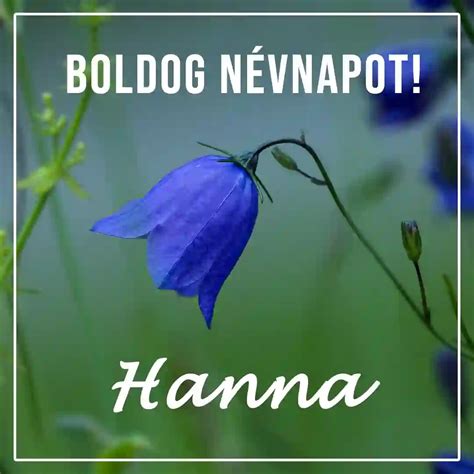 Hanna névnap 2025 Mikor van Hanna névnapja Névnaptár