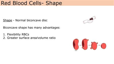 Biconcave Disk Biconcave Fracture Of L1 In An 86 Year Old Woman With