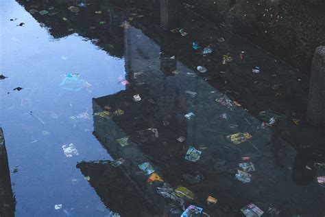 Foto Sampah Yang Mengotori Anak Sungai Musi