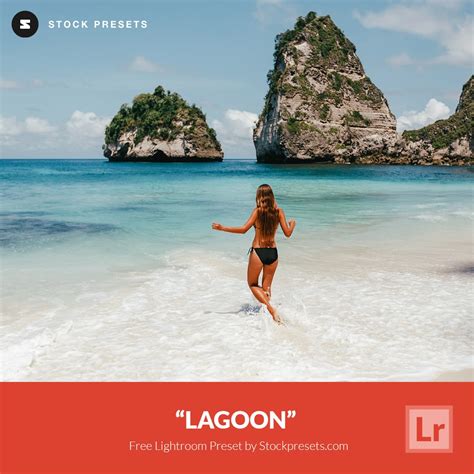 Free Lightroom Preset Analog Look Presetpro