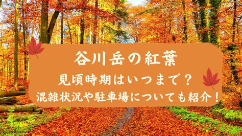 谷川岳の紅葉2024の見頃時期はいつまで？混雑状況や駐車場についても紹介！｜happy Life