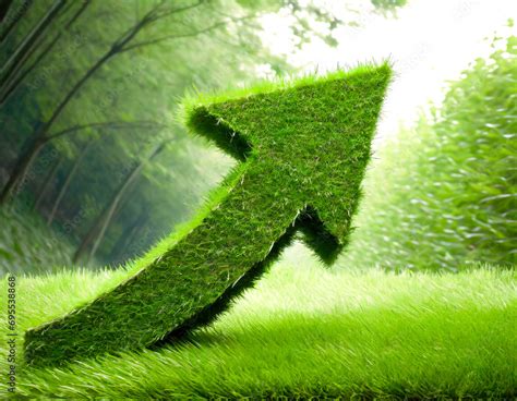 Arrow Filled With Grass Pointing Upwards Natural Landscape Background