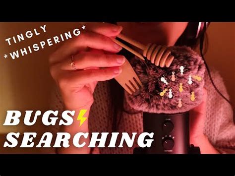 ASMR TINGLY BUGS SEARCHING With Up Close WHISPERING Fast Fluffy Mic