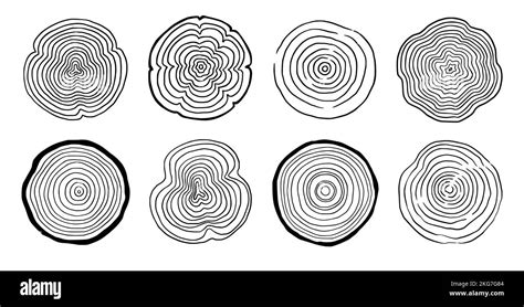 Tree Ring Wood Circle Set Hand Drawn Tree Ring Pattern Line Ripple