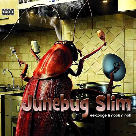 Sex Bugs And Rock N Roll Junebug Slim Qobuz