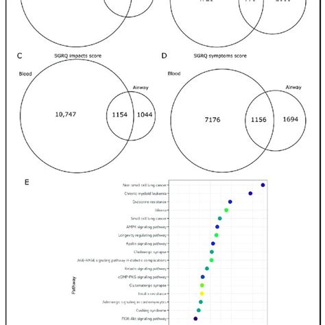 Differentially Methylated Genes Overlapped Between Tissues Venn