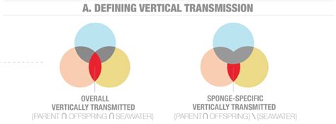 Vertical Transmission Of Sponge Microbiota Is Inconsistent And Unfaithful Research Communities