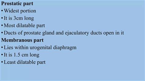 Radiological Procedure Of Retrograde Urethrography Rgu And Micturating Pptx