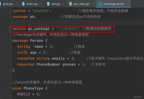 从0到1开发go tcp框架4实战片 开发MMO之玩家聊天篇