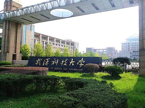 武汉科技大学 河南大恺热能科技有限公司