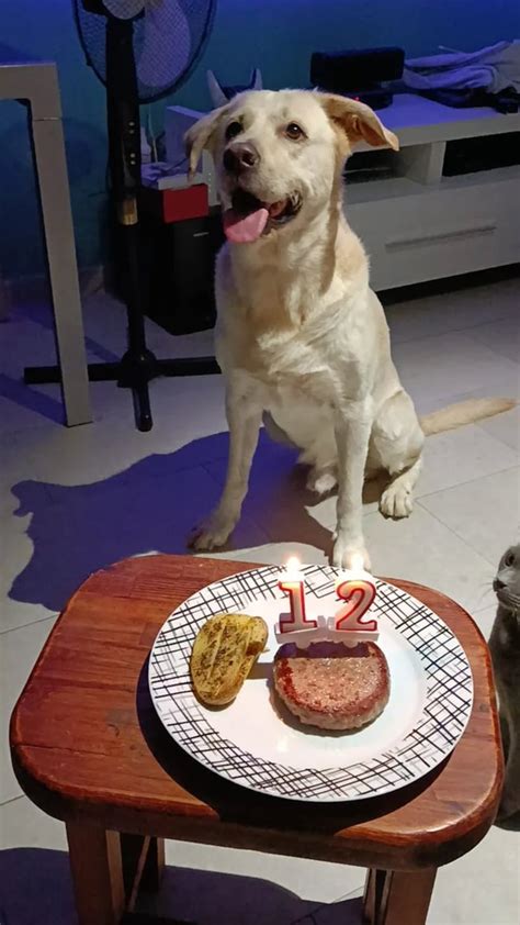 12th Birthday Brain Bleach Eye Bleach Mind Bleach Know Your Meme