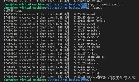 Exec 族函数 和 System（）函数execlp和system Csdn博客