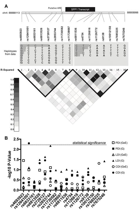 In Vitro Effects Of Lead On Gene Expression In Neural Stem Cells And