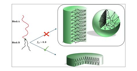 Morphological Transitions And Chain Conformations In Ab2 Miktoarm Star Block Copolymers A