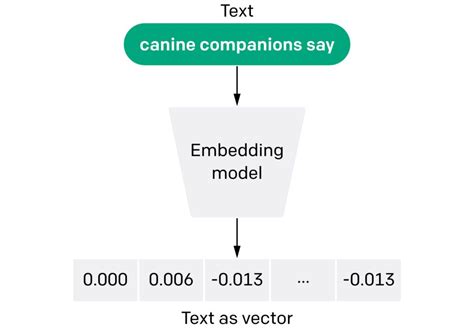Vector Embeddings Explained