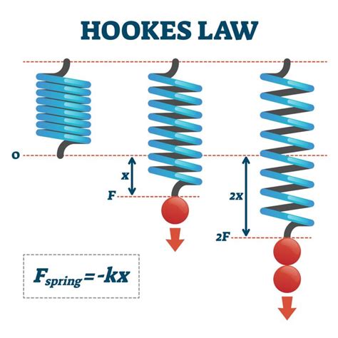 Hookes Law Diagram Understanding The Physics Of Elastic Objects
