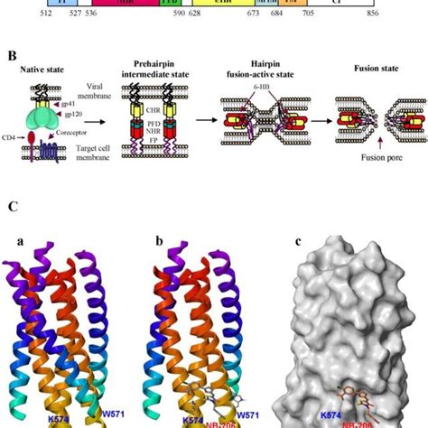The Chemical Structures Of The Small Molecule Hiv 1 Entry Inhibitors