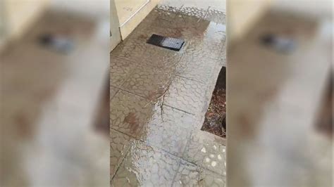 El Robo De Medidores De Agua En Mendoza No Cesa Y Provocaron Una Gran