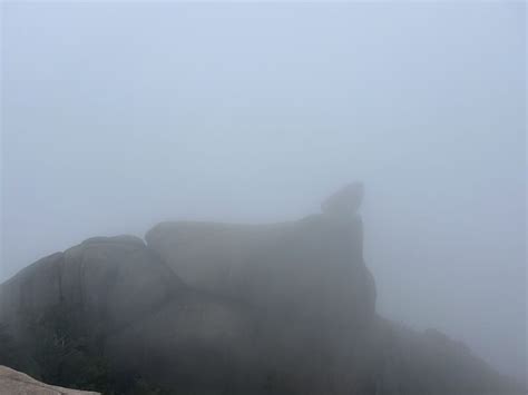 Nicola Weir On Linkedin Optimist Journey Sustainability Innovation