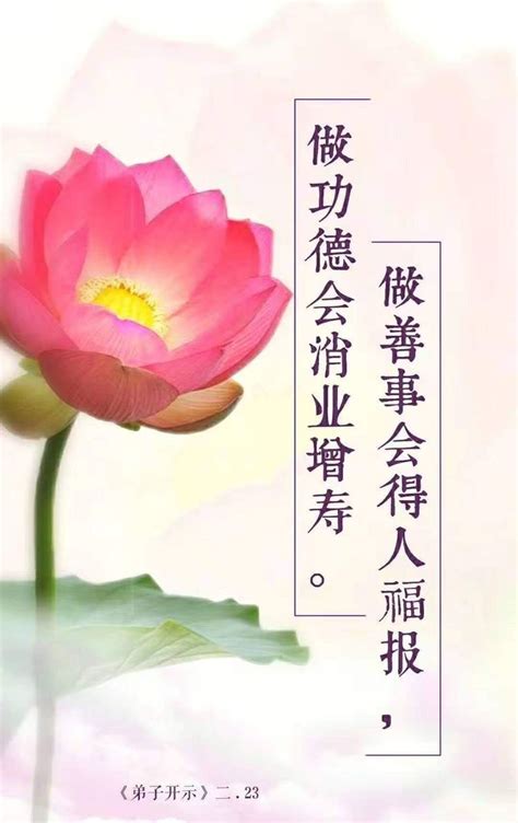要守戒律，不守戒律的人会吃苦头的。（摘自卢台长《白话佛法》第八册第三十九章） Save