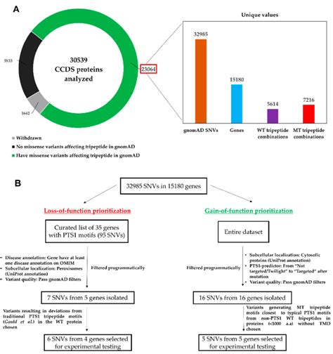 Overall Bioinformatics Workflow For The Mining Of Sequence Variation