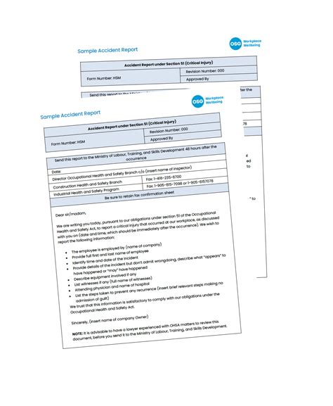 Sample Accident Report Osg