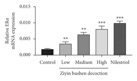 Q Pcr Results Of Erα A Gnrhr B Cyp17 C Cyp11a1 D Cyp19 E Download Scientific
