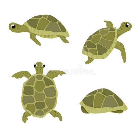 Turtle Hiding Shell Stock Illustrations 45 Turtle Hiding Shell Stock