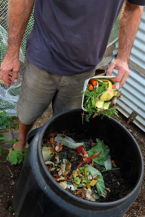 Composting For Beginners How To Get Started Growfully