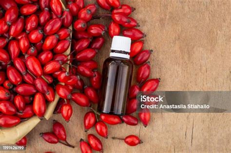 나무 테이블에 장미 엉덩이와 장미 엉덩이 씨앗 오일 로즈 힙 일반적으로 로즈 힙으로 알려진 0명에 대한 스톡 사진 및 기타