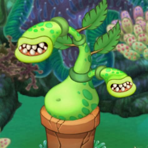 18 My Singing Monsters Ideas Msm Decorations Msm Characters My