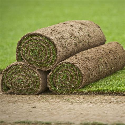 Cultivated Lawn Turf Caragh Nurseries