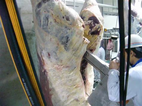 High Efficiency Cattle Slaughter Equipment Carcass Cow Splitting Saw