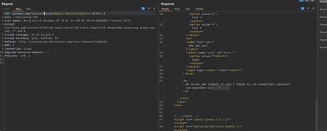 Tryhackme Nanocherryctf Nasrallah