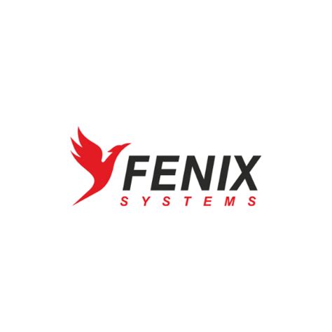Fenix Systems Mam niszę