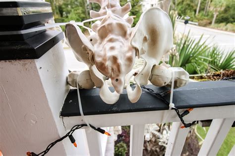 10 Skeleton Pose Ideas For Your Yard