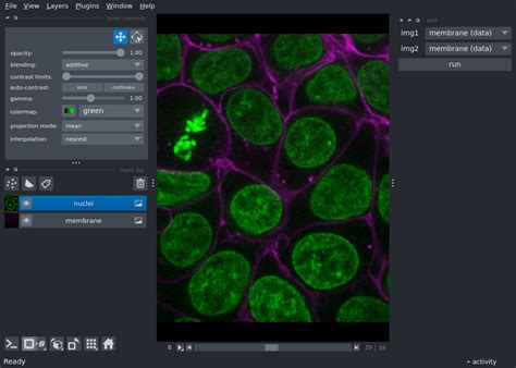 Drag And Drop Python Code Example — Napari