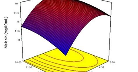 Optimization Album On Imgur