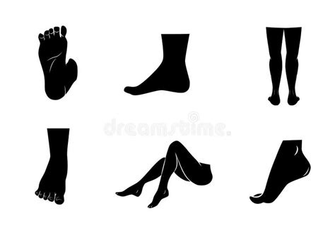 Woman Legs Vector Icon On White Background Stock Vector Illustration
