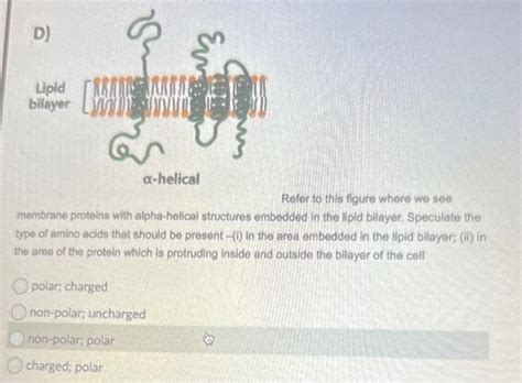 Solved 12 Refer To This Figure Where We See Membrane Pr