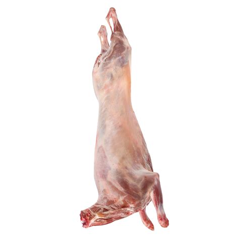 Carcass Lamb Sharjah Co Operative Society
