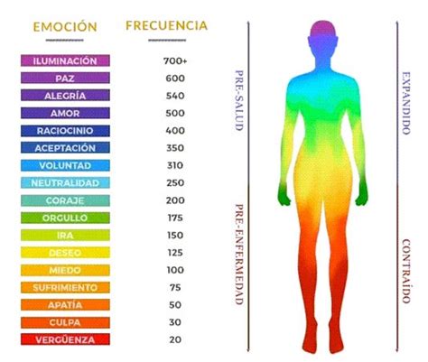 Mapa De La Consciencia De Hawkins