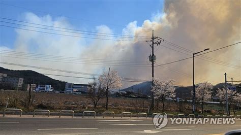 대전·충남서 동시다발 산불홍성 산불 3단계 발령종합2보 나무뉴스