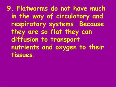 WORMS!. - ppt download