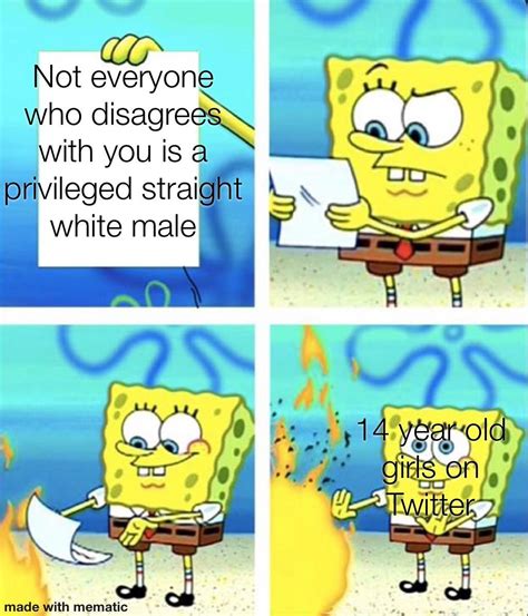 One Of My More Controversial Memes Rmemes