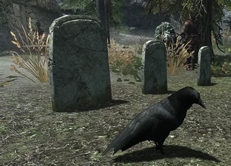 Birds Of Skyrim At Skyrim Nexus Mods And Community