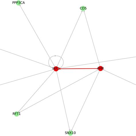 Graph Of Transcription Transcription Factor Regulation Pathways Among